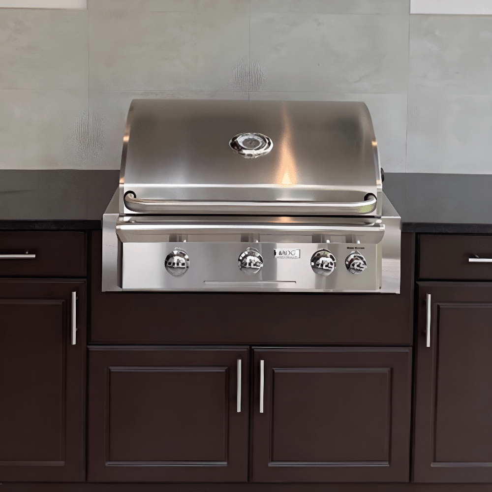 American Outdoor Grill L 30-In Grill w/ Backburner — Modern Blaze